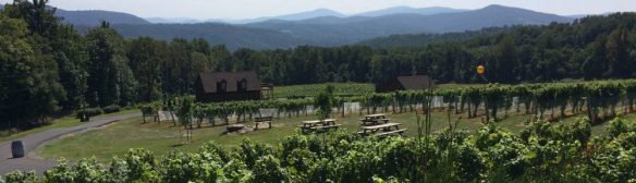 Reaching for the Sky: Virginia’s High Altitude Vineyards | Wine Trails ...