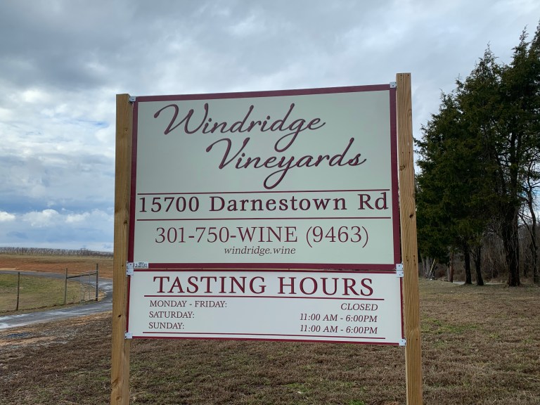 Windridge Vineyards | Wine Trails and Wanderlust