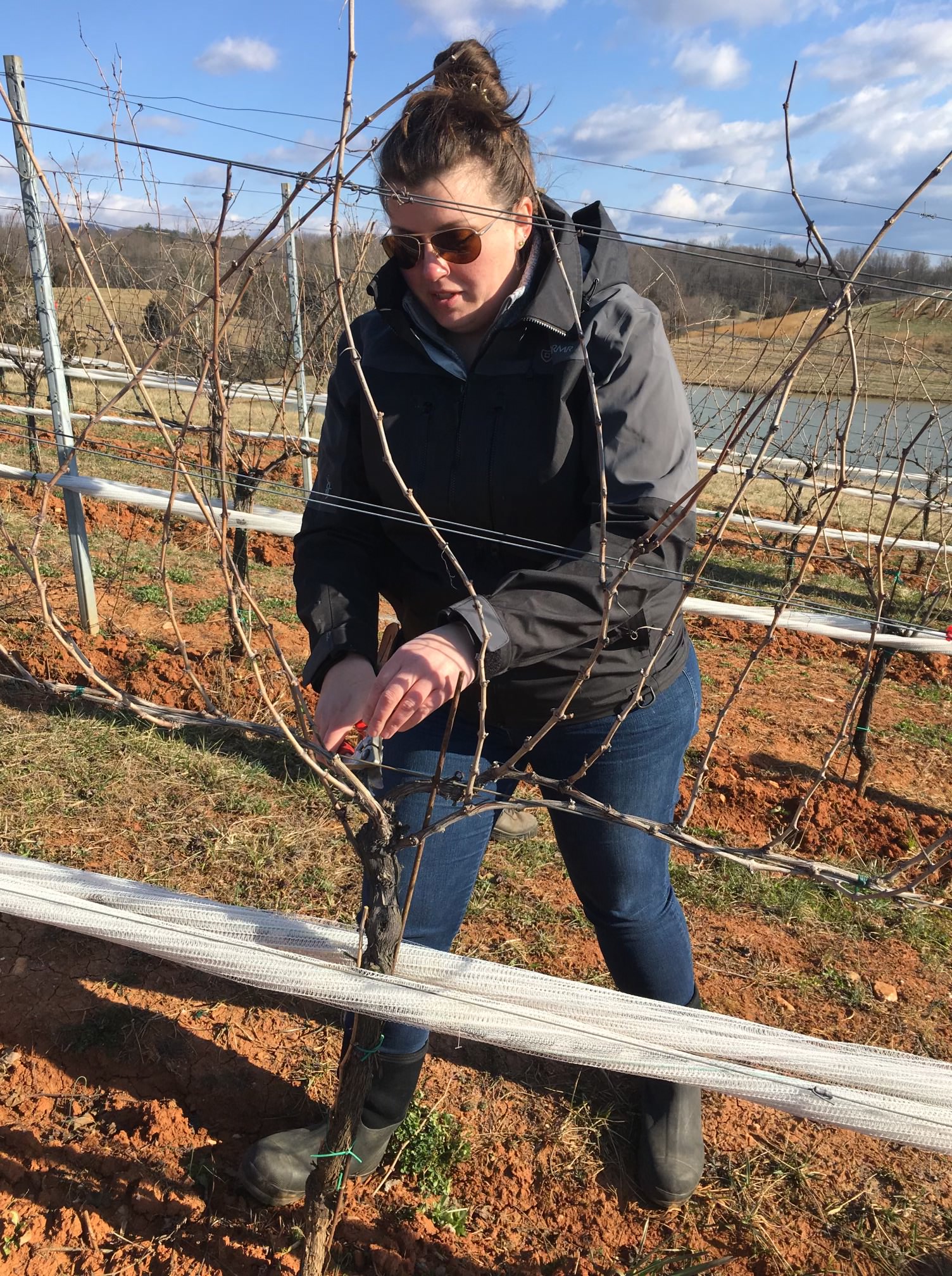 The Winegrowers of Horton and Early Mountain Vineyards | Wine Trails ...