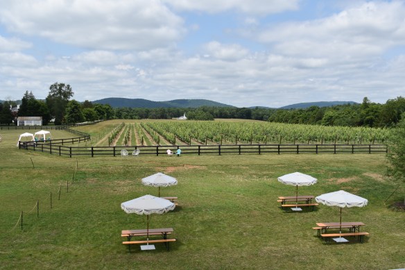 Merrie Mill Farm & Vineyard | Wine Trails and Wanderlust