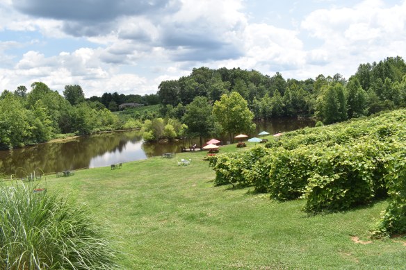 Glass House Winery | Wine Trails and Wanderlust