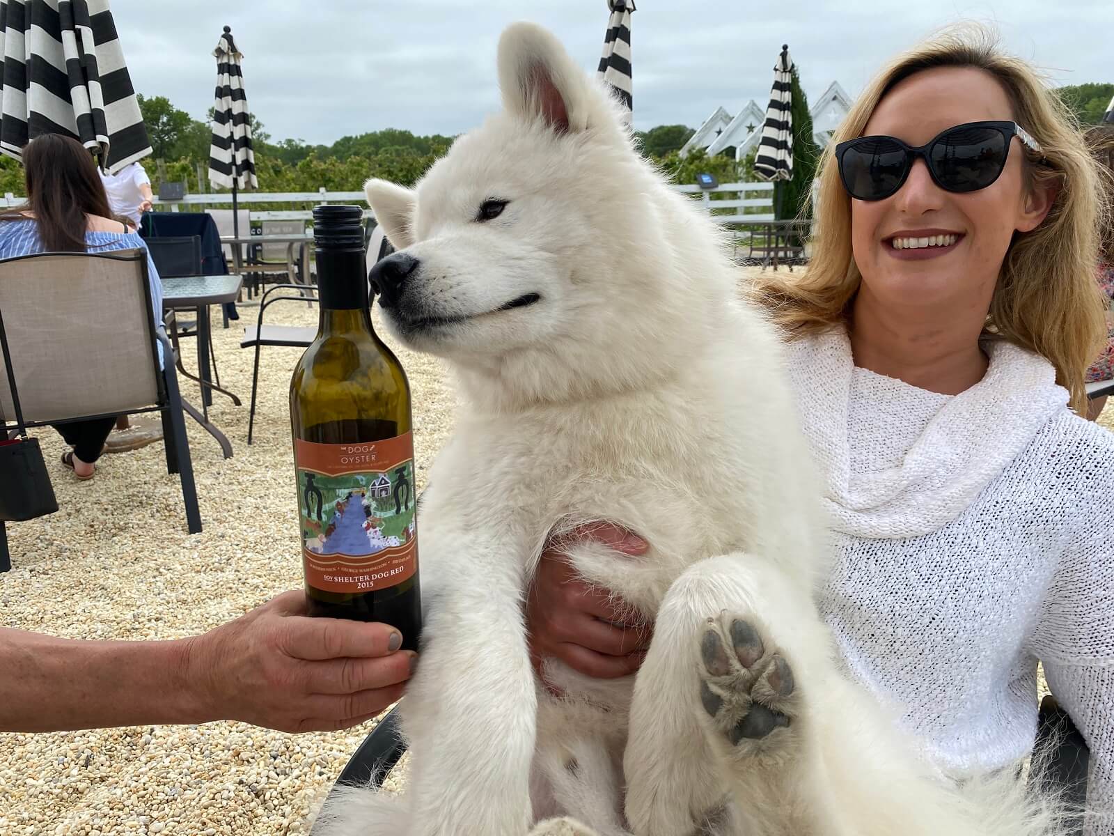 The Doggie Dozen: Pet friendly wineries in Virginia | Wine Trails and ...