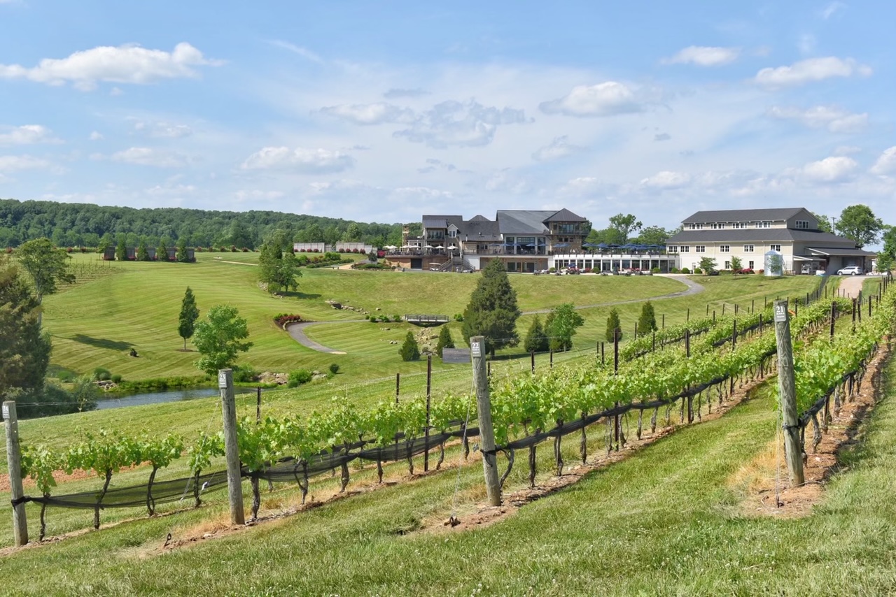 Virginia Wineries Raising the Bar With Premium Experiences | Wine ...