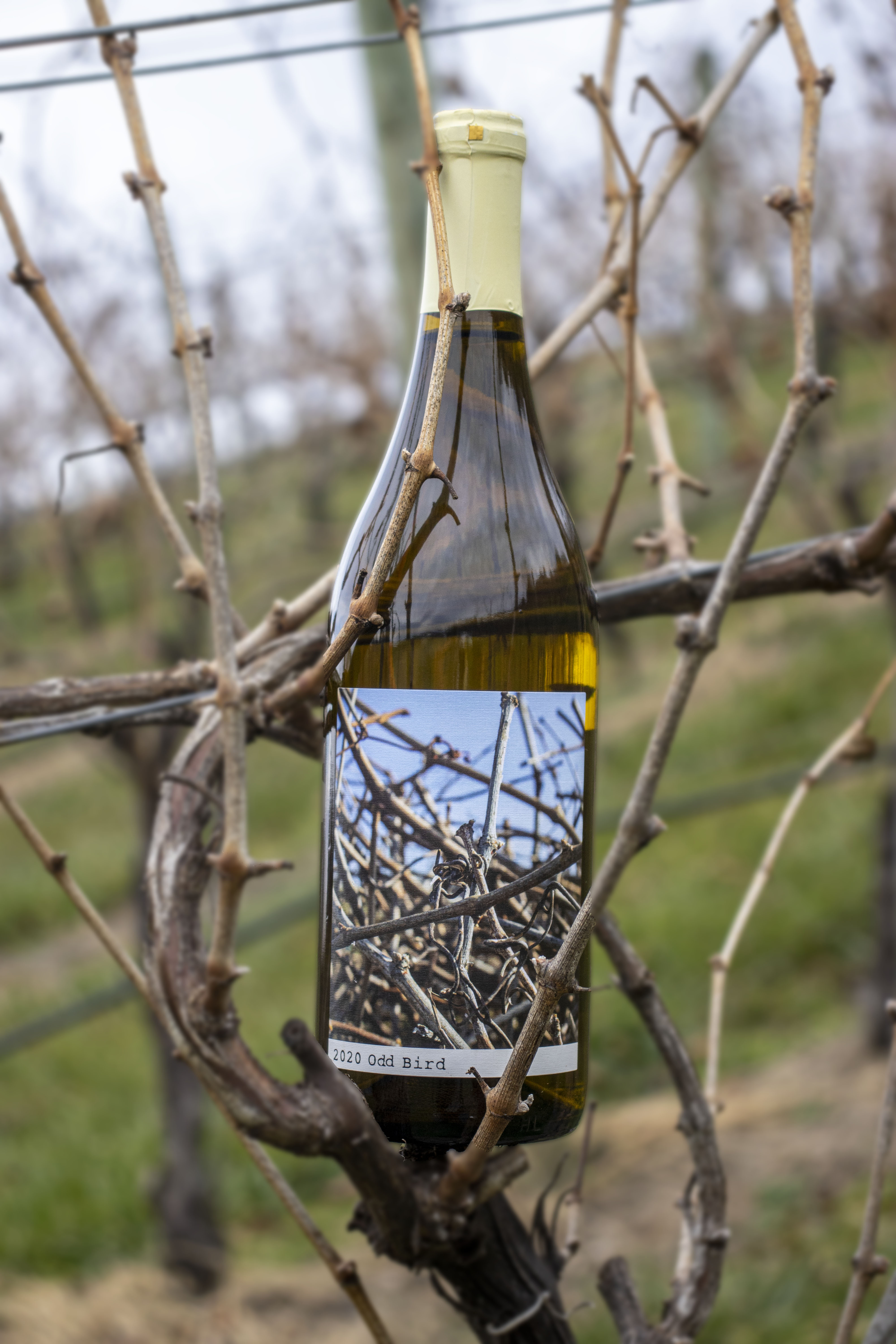 Small Batch Wines Pushing Virginia’s Creative Boundaries | Wine Trails ...