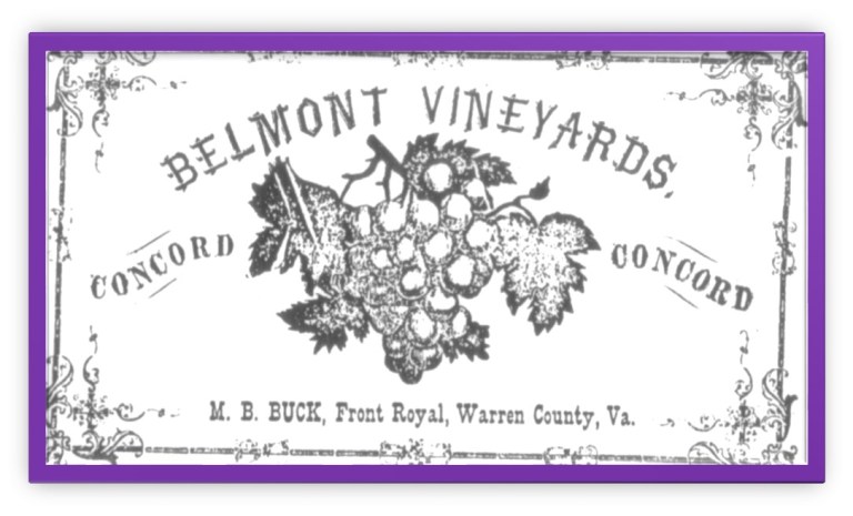 Virginia’s Forgotten Winery: Belmont Vineyards | Wine Trails and Wanderlust