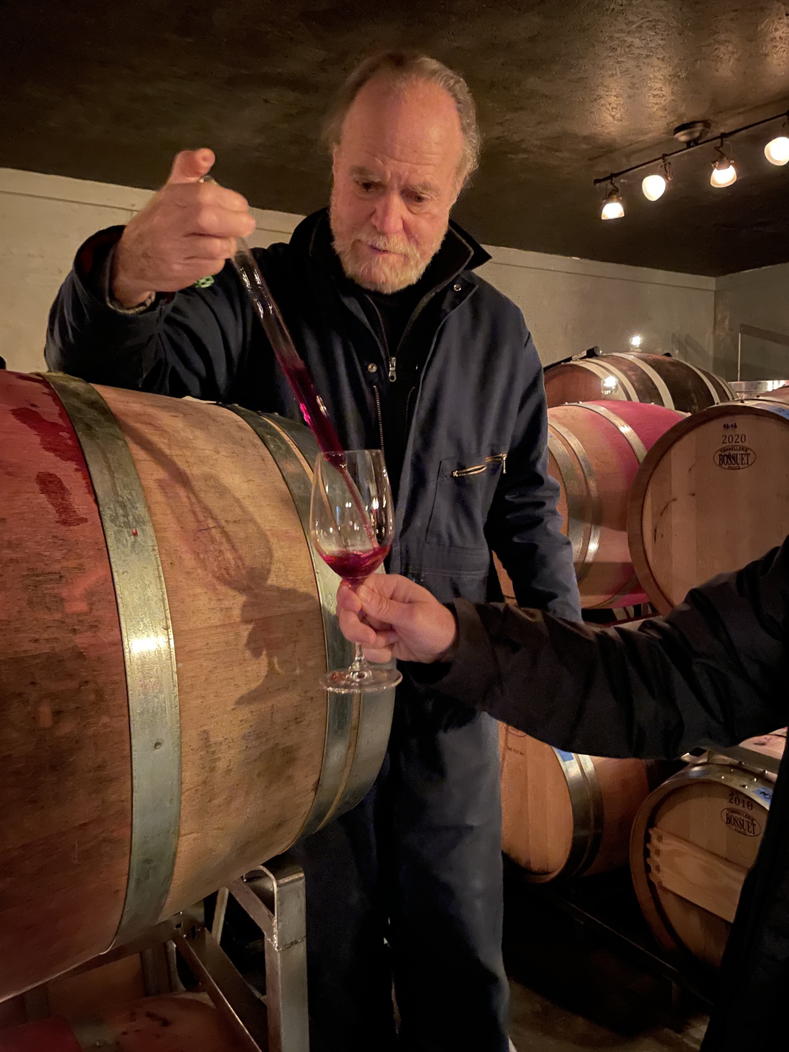 An Introduction To Virginia Wine | Wine Trails and Wanderlust