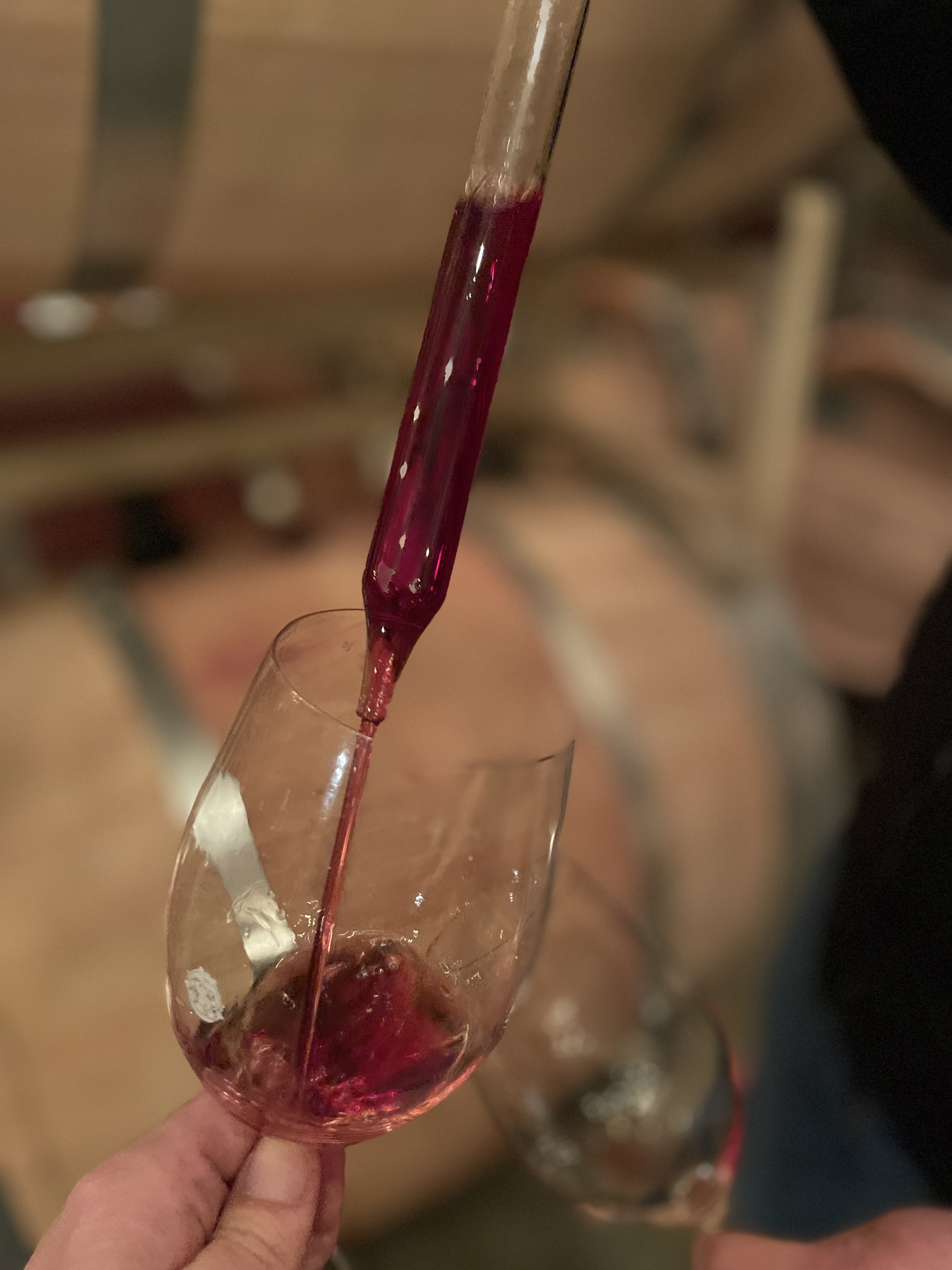 An Introduction to Virginia’s Nebbiolo | Wine Trails and Wanderlust