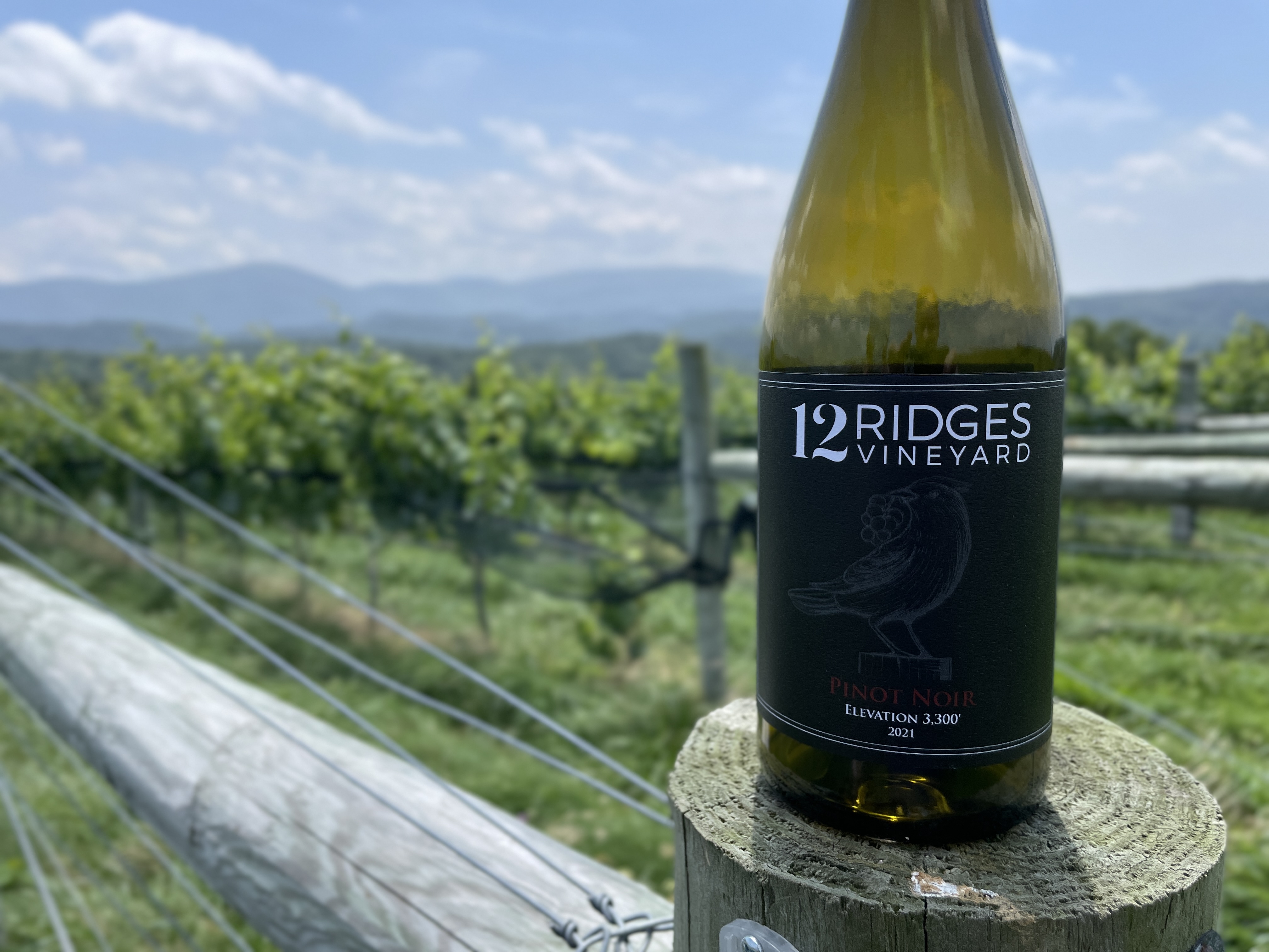 Reaching for the Sky: Virginia’s High Altitude Vineyards | Wine Trails ...