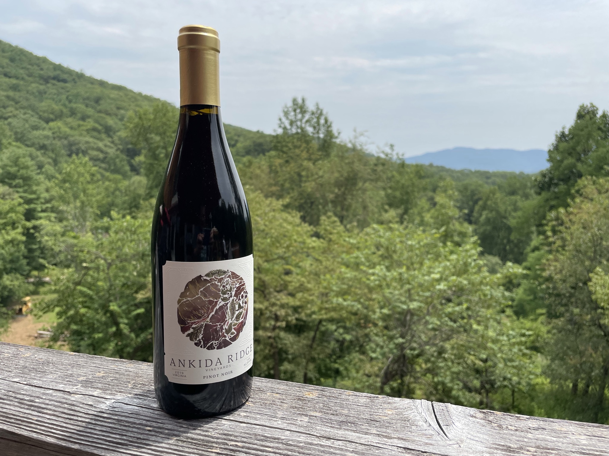 Reaching for the Sky: Virginia’s High Altitude Vineyards | Wine Trails ...
