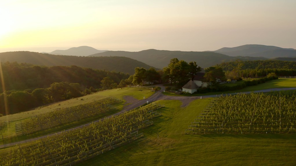 Reaching for the Sky: Virginia’s High Altitude Vineyards | Wine Trails ...