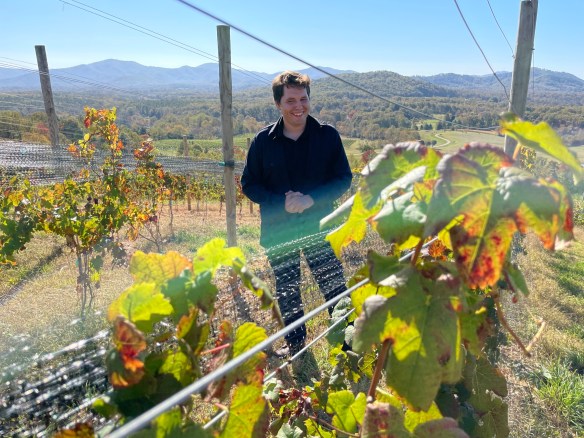 Reaching for the Sky: Virginia’s High Altitude Vineyards | Wine Trails ...