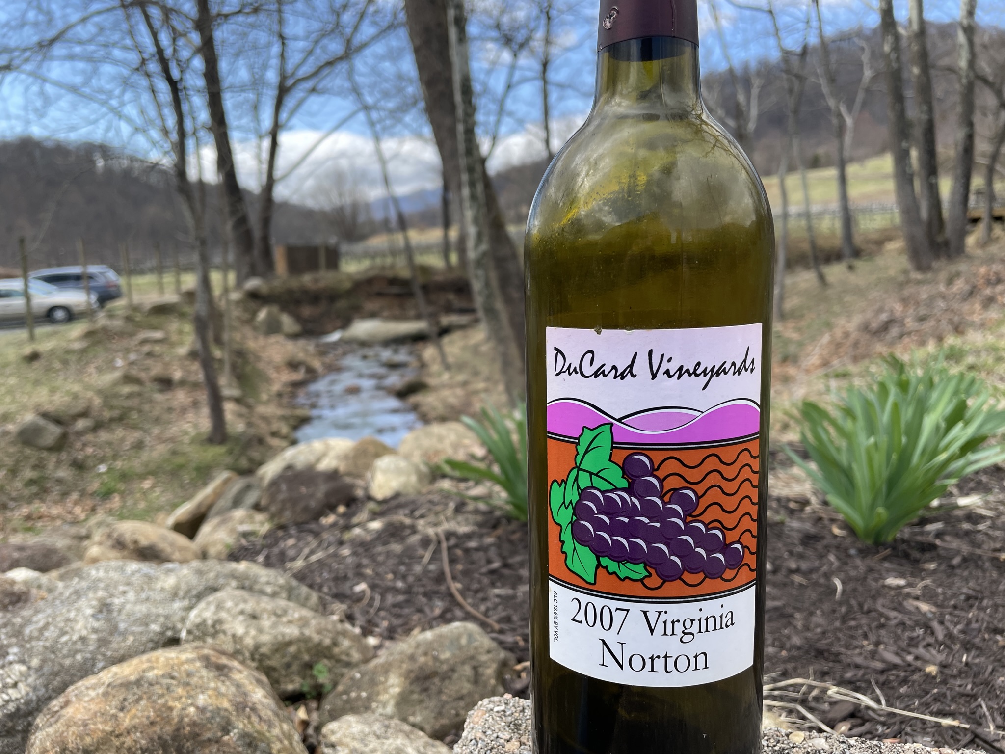 Revisiting The Norton Grape | Wine Trails and Wanderlust