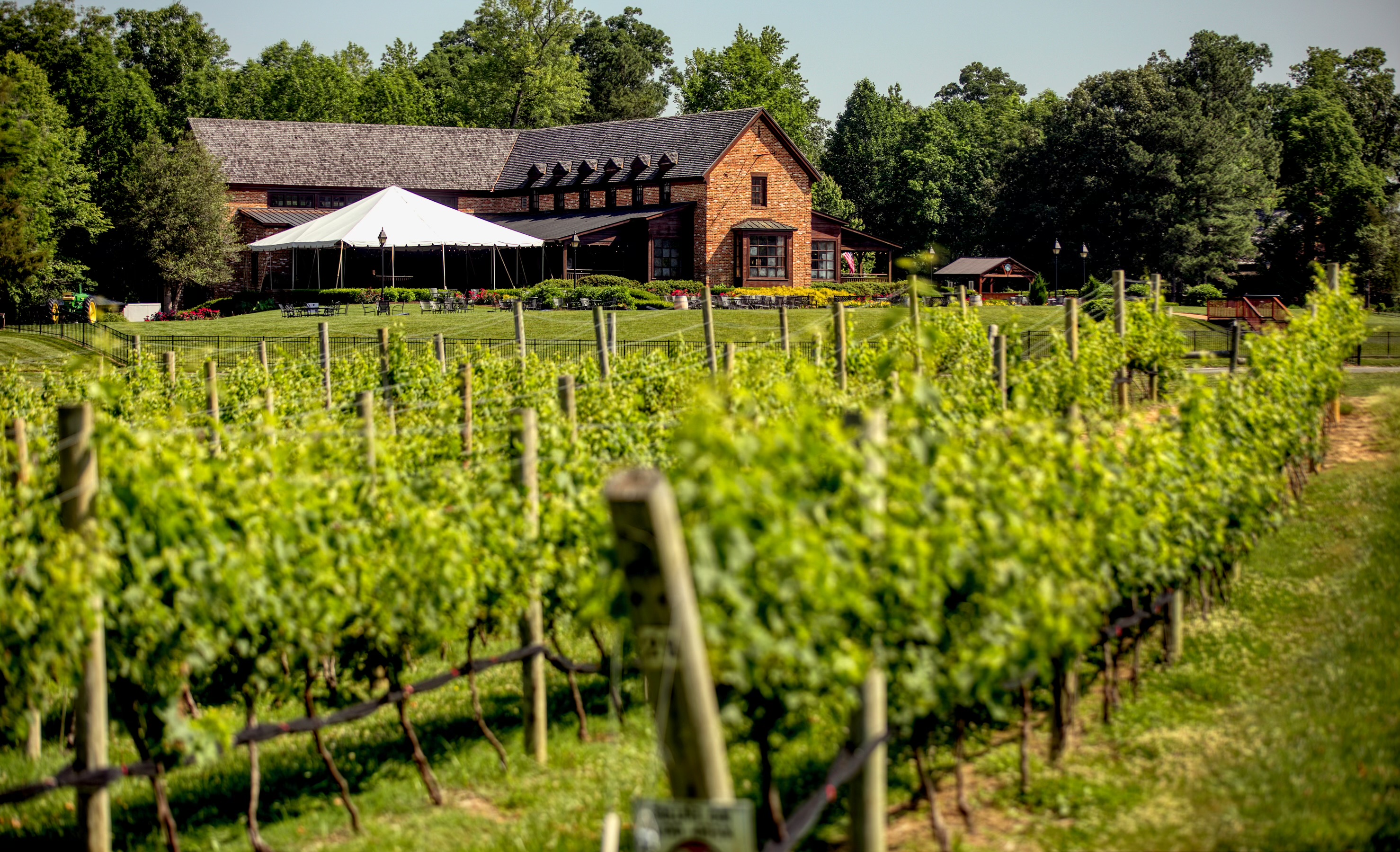 Exploring Richmond’s Winery Scene | Wine Trails and Wanderlust