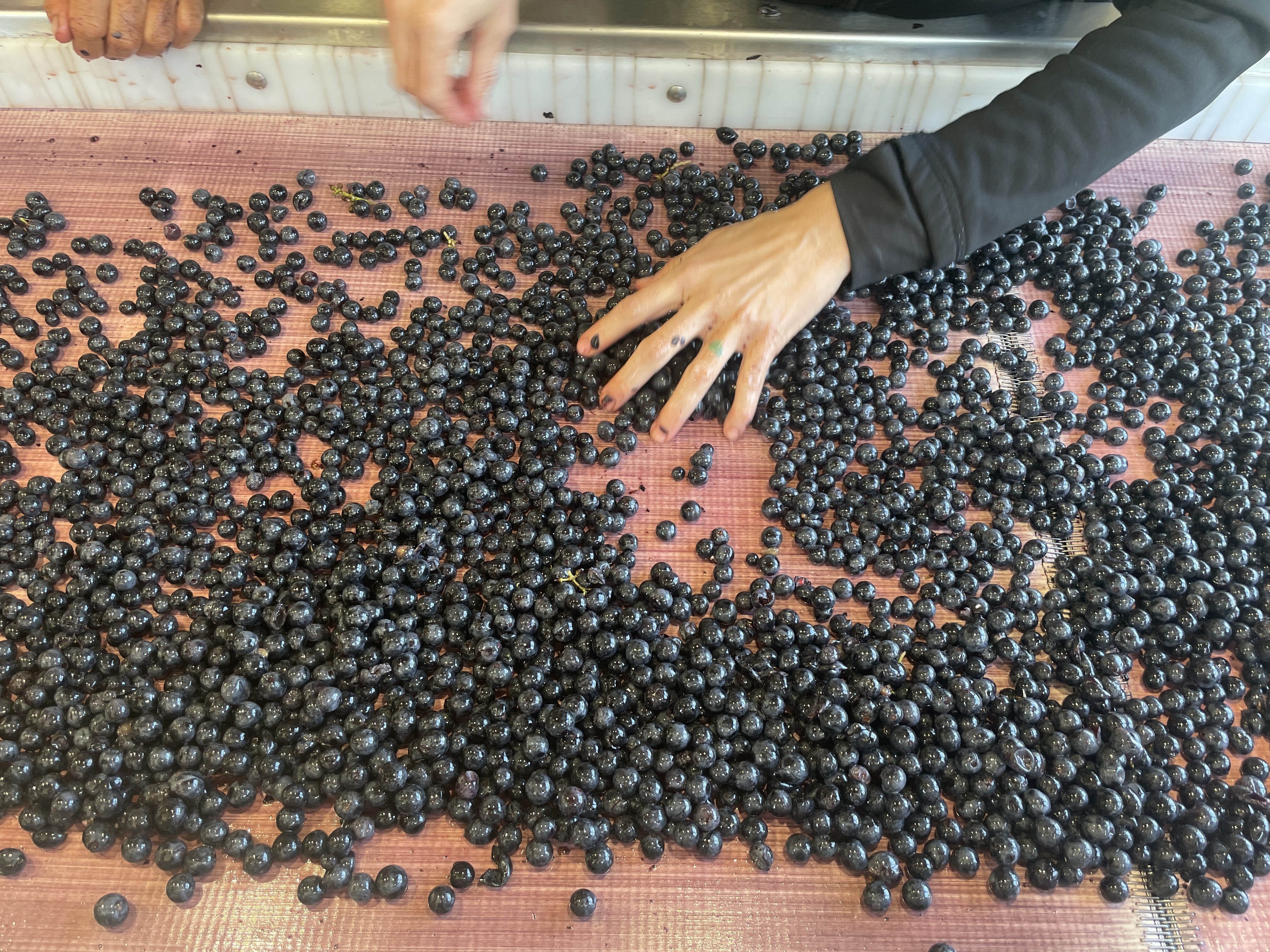 The 2025 Virginia Wine Year In Review | Wine Trails and Wanderlust