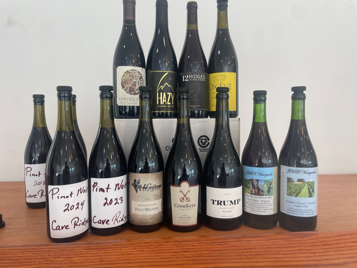 Virginia Pinot-Palooza | Wine Trails and Wanderlust