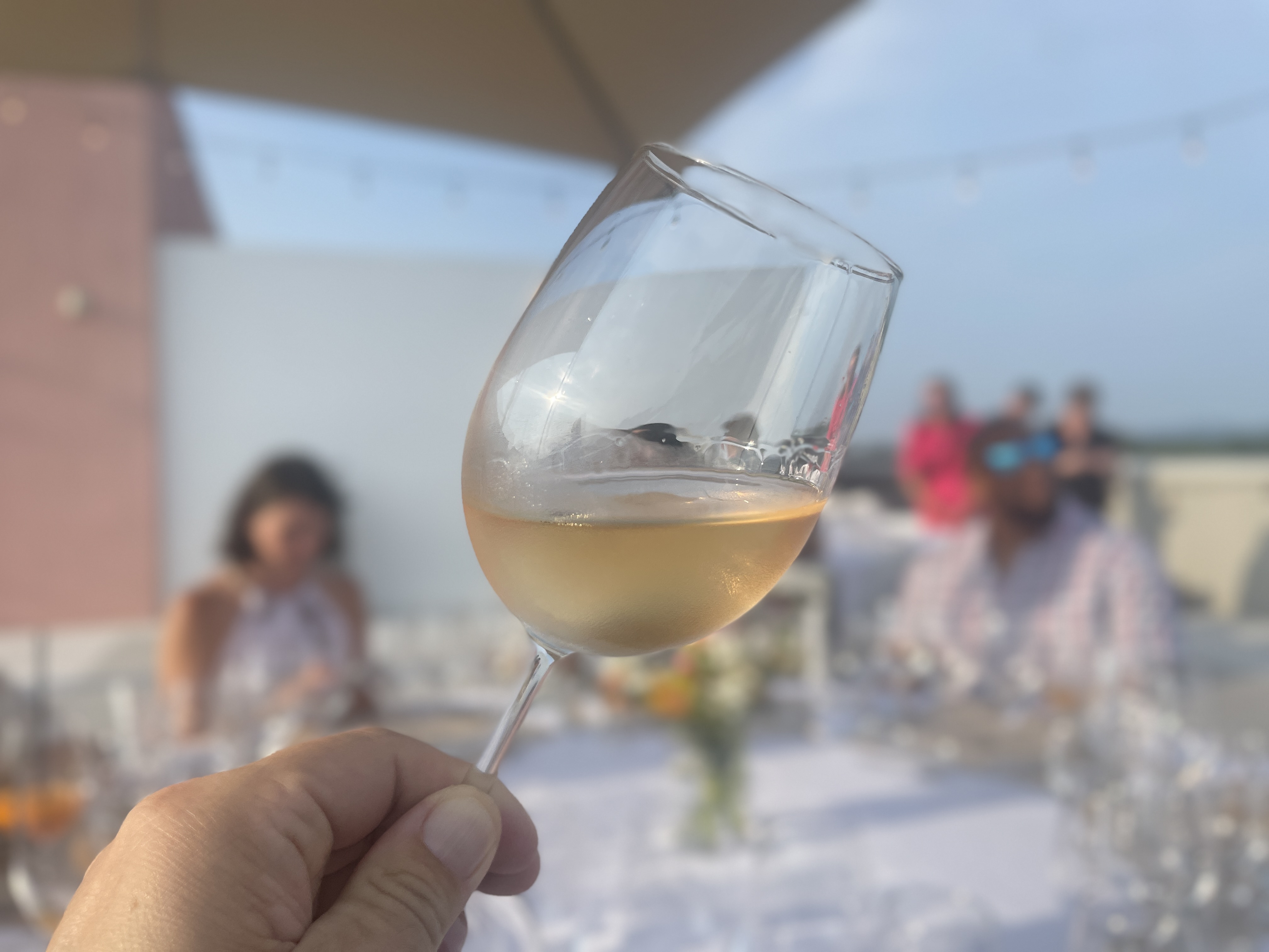 The Monticello Wine Trail “Women in Wine” Dinner at The Doyle Hotel ...